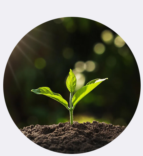 Kerala Agri Horticultural Society Trivandrum