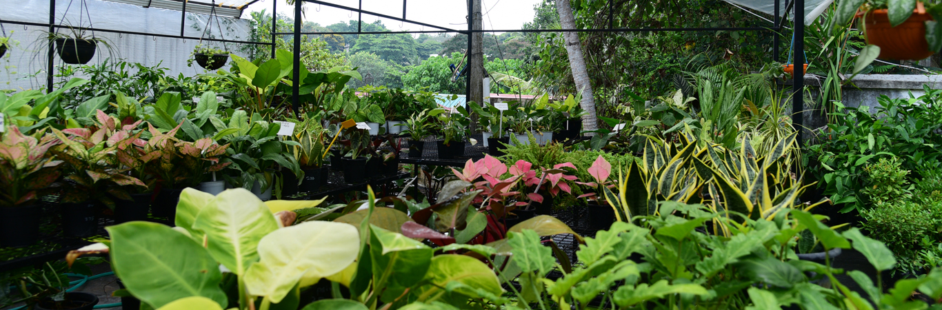 Kerala Agri Horticultural Society Trivandrum